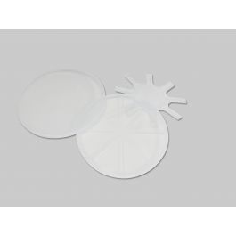 Single Wafer Container for 100mm (4“) Wafer