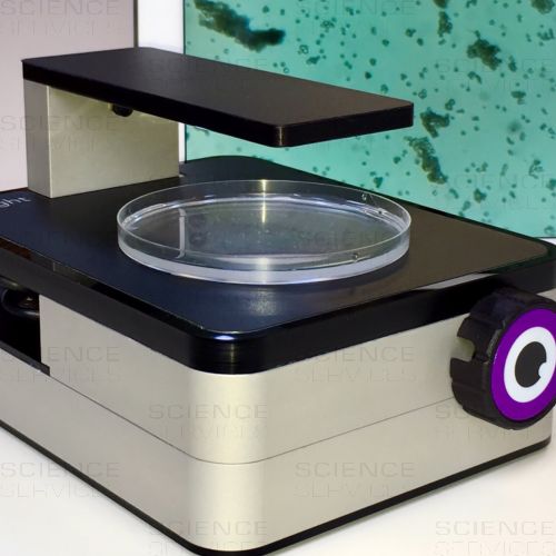 iolight - Most compact Inverted Microscope, 1mm field of view and 400x
