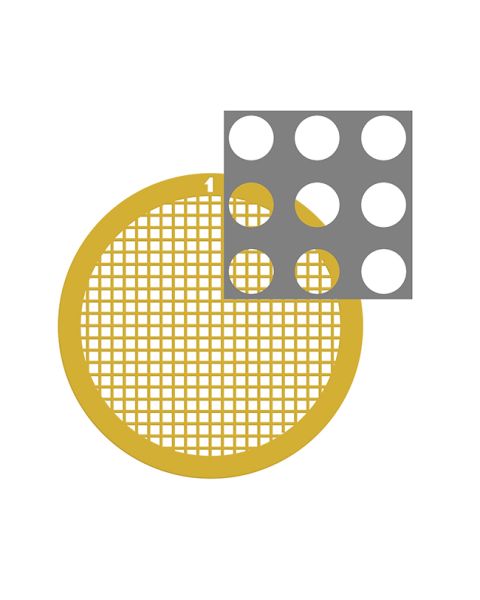 C-flat™ Grids - TEM Grids - Tools & Supplies