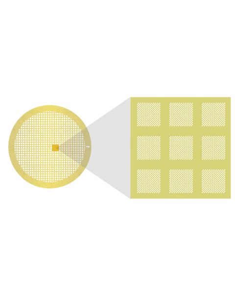 C-flat™ Grids - TEM Grids - Tools & Supplies
