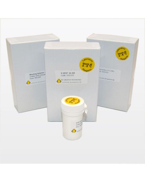 Antibody Kits for Laboratories by Science Services