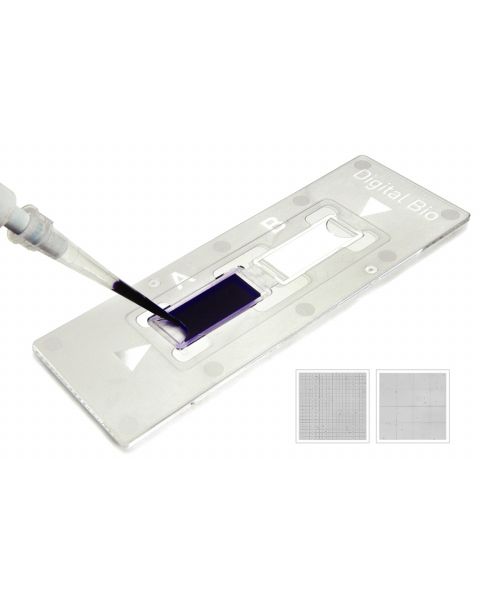 Focus on... Cell Counting