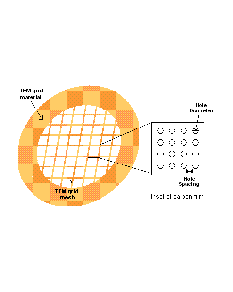C-flat™ Grids - TEM Grids - Tools & Supplies