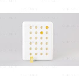 The Cell Culture Mold, each