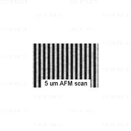 AFM Calibration Specimens 300-1D, unmounted