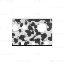 Evaporated Platinum/Iridium