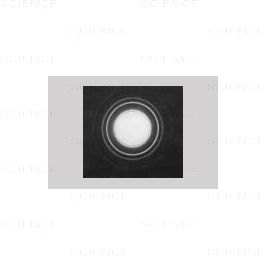 Diffraction Standards, evaporated Aluminum on TEM grid, each