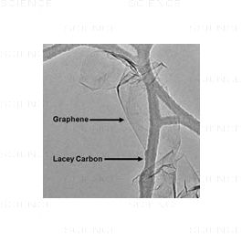 TEM Grid, Graphene on Lacey Carbon
