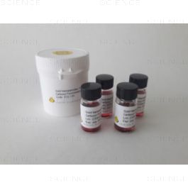 Gold Nanoparticles (Gold Sols), Carboxyl-functionalized, 4x 5ml ...