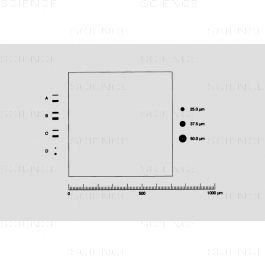 G44 – ASTM E45 Grain Sizing Disc, different diameters