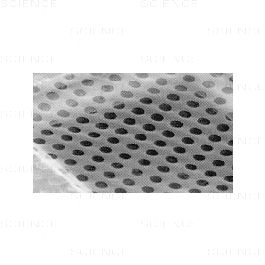 TEM Grids, Quantifoil, Hole Shape R2/2, Hole Size 2µm, Period 4µm, Au